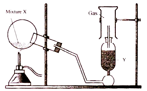 Draw the structure of ammonia and give the reason for alkaline nature ...