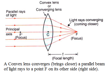 1. Draw a diagram to show how a converging lens focusses parallel rays ...