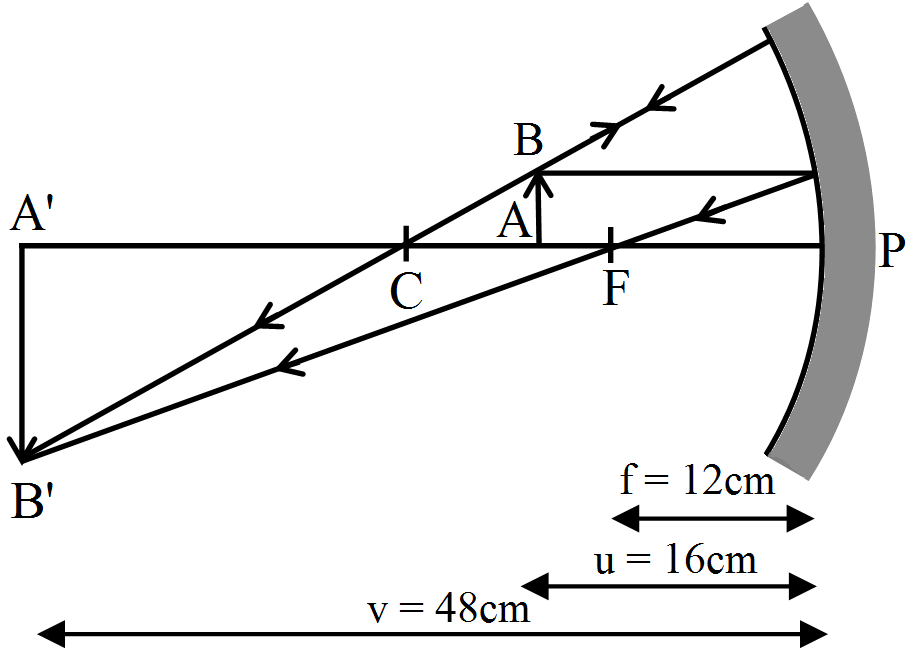 List the sign conventions for reflection flight by spherical mirrors ...