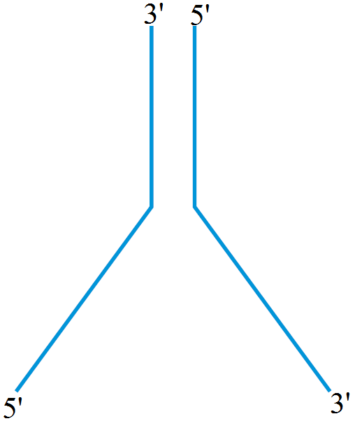 1. Identify the structure shown above. 2. Redraw the structure as a ...